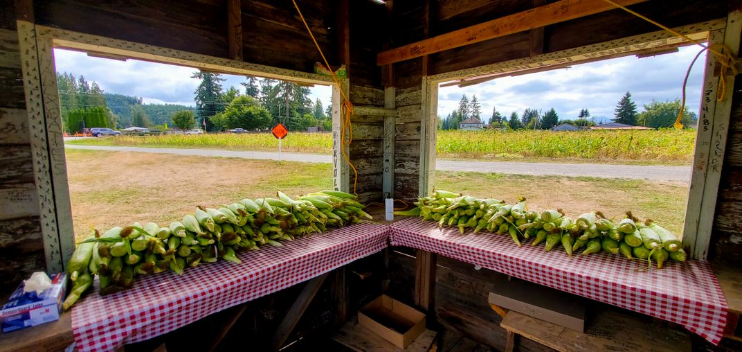 Farmstand inside | Smithsonian Photo Contest | Smithsonian Magazine