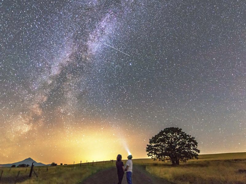 Stargazing | Smithsonian Photo Contest | Smithsonian Magazine