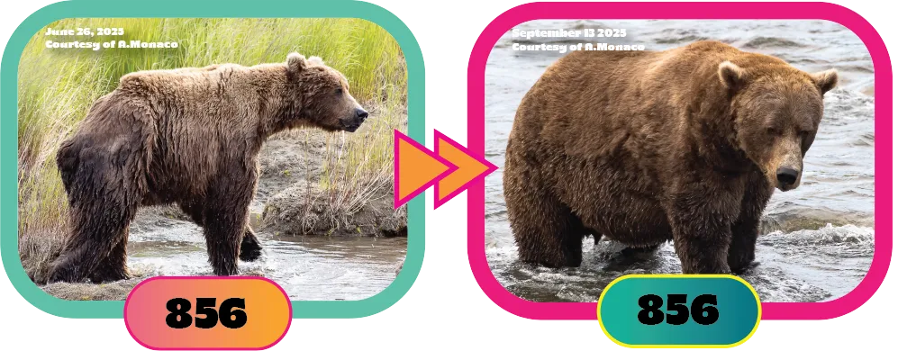 After Two Years as Runner-Up, Chunk Is Finally Crowned Winner of Fat ...