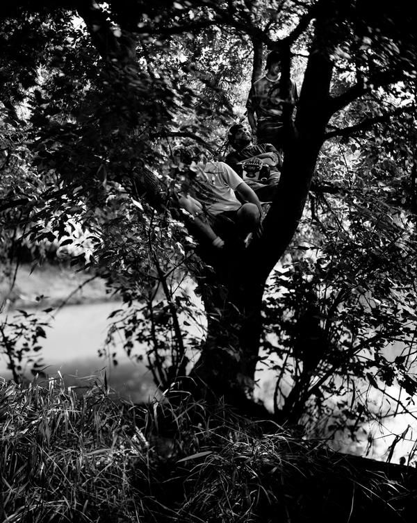 The Smoking Tree | Smithsonian Photo Contest | Smithsonian Magazine