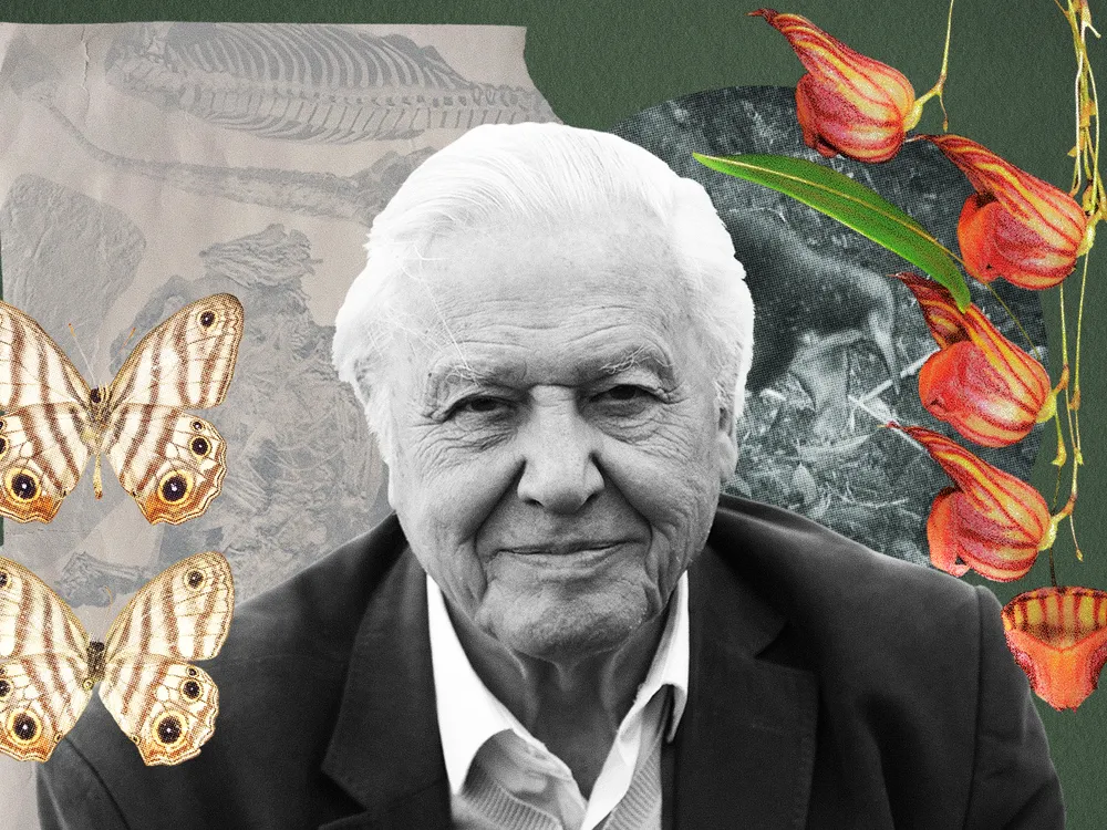 David Attenborough Has Inspired Countless Scientists. To Mark His 100th ...