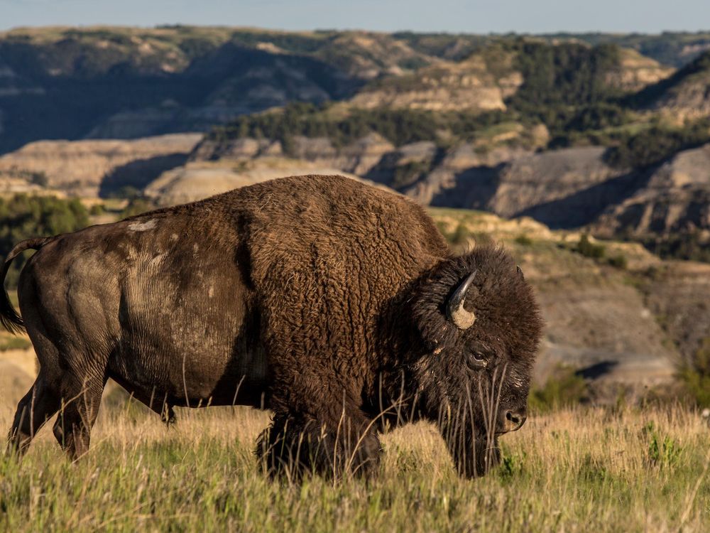 north dakota what is it known for