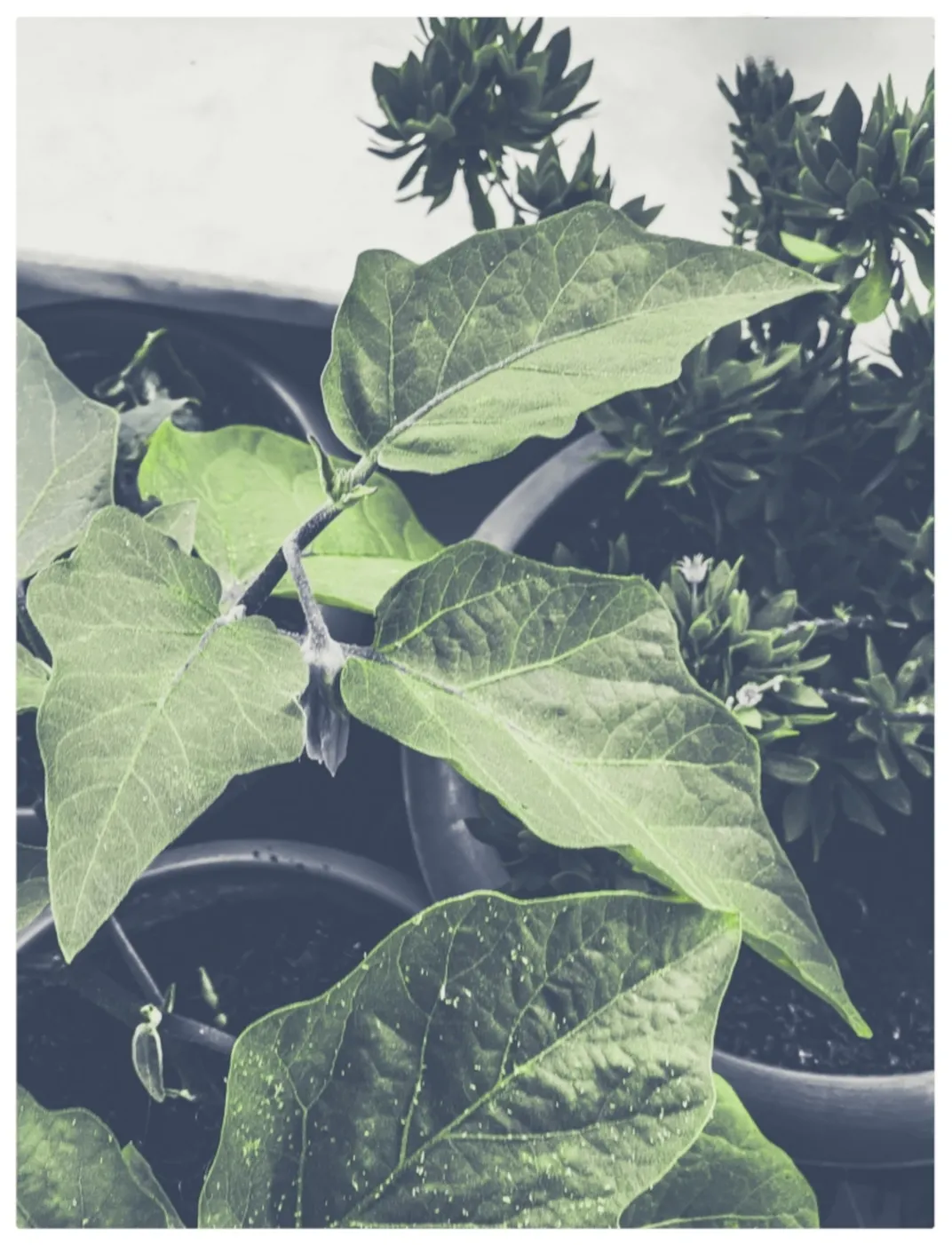 The Promise of Silence | Smithsonian Photo Contest | Smithsonian Magazine