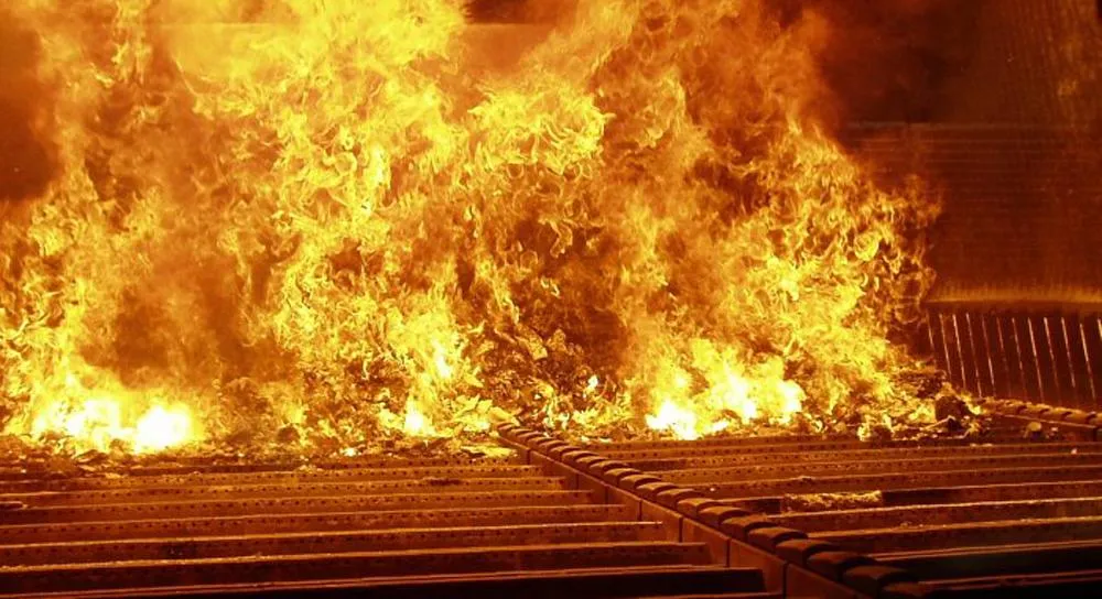 burning waste effects