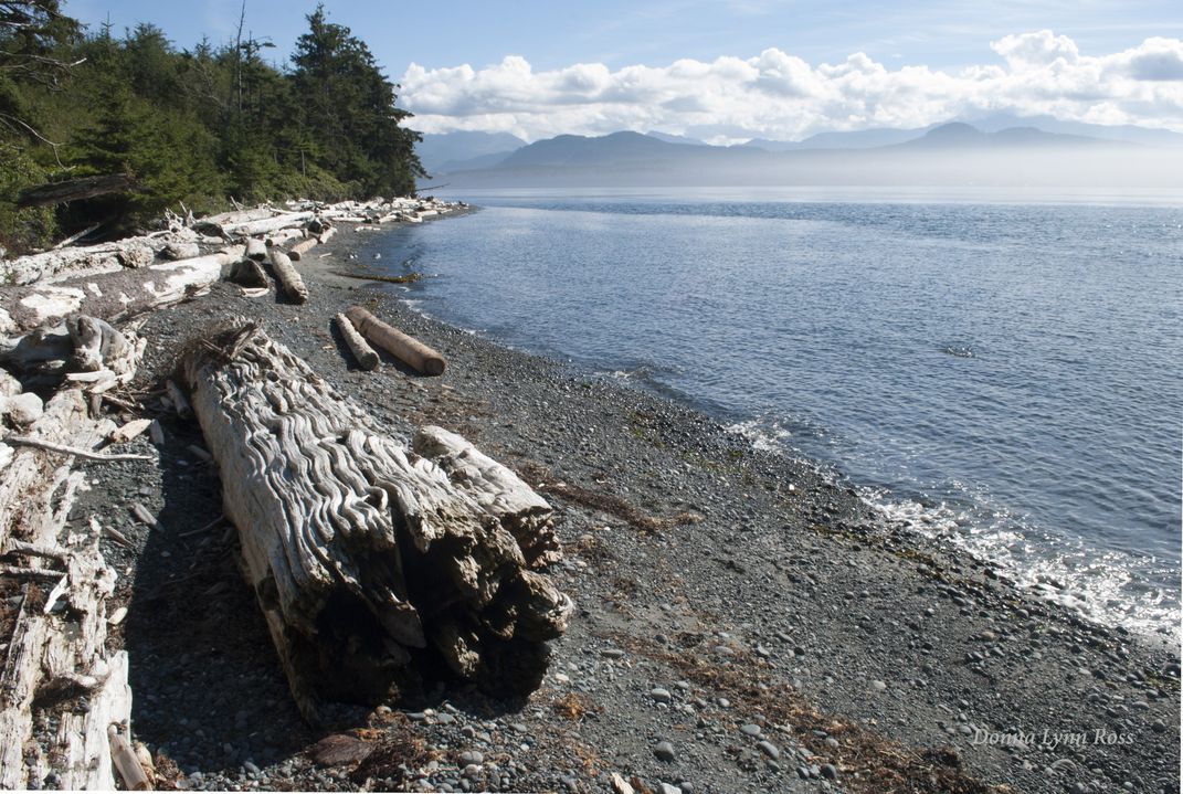 Sointula Walk to the Lighthouse | Smithsonian Photo Contest ...