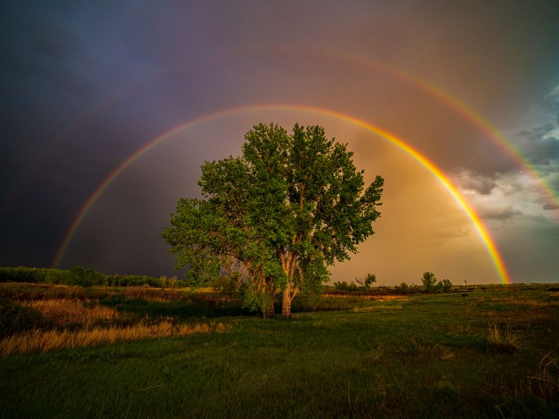 A double rainbow over a tree | Smithsonian Photo Contest | Smithsonian ...