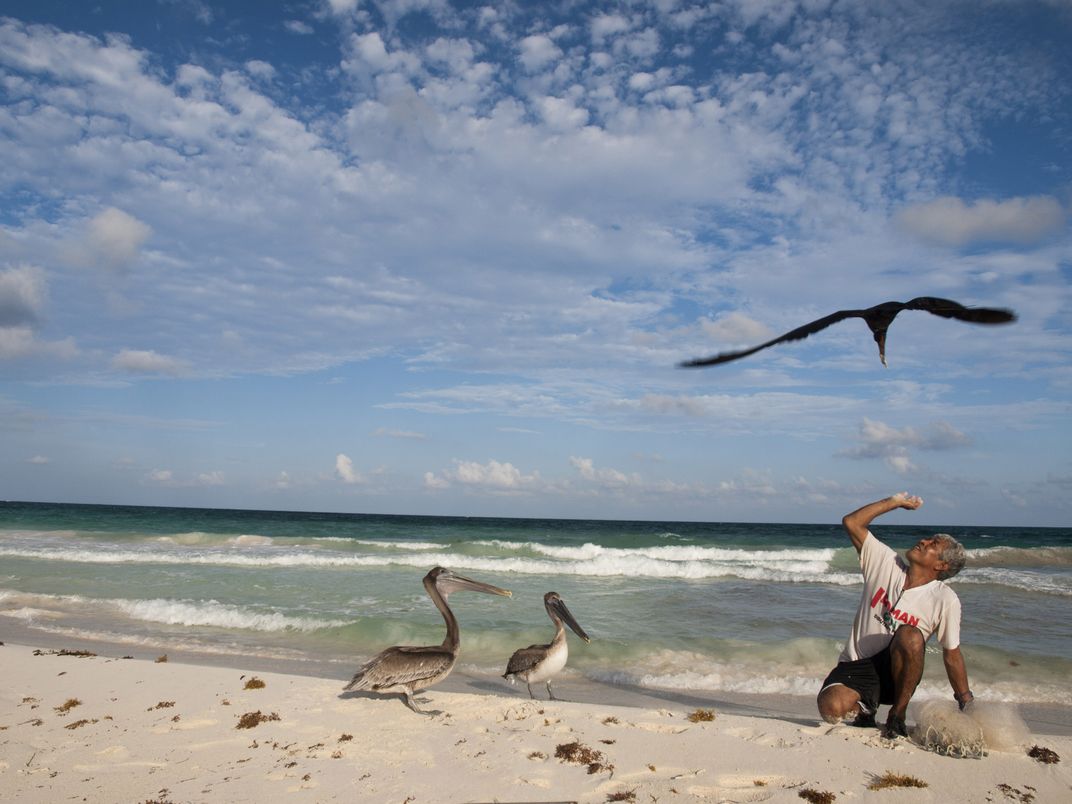 Feed the birds- a fisherman in Tulum, Mexico feeds some hungry birds ...