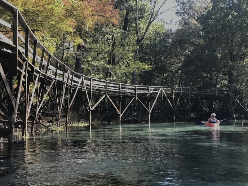 Kayaking from the Santa Fe River | Smithsonian Photo Contest ...