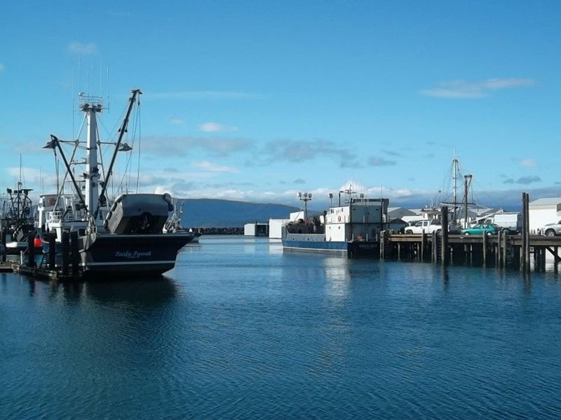 the ship that are dock in bellingham bay! | Smithsonian Photo Contest ...