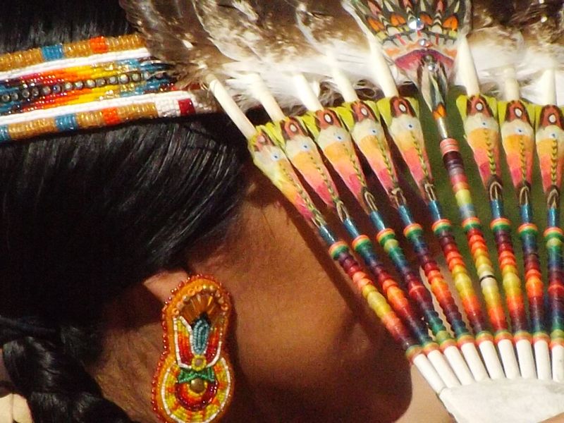 The Native Americans Past & Present, The Fan | Smithsonian Photo ...