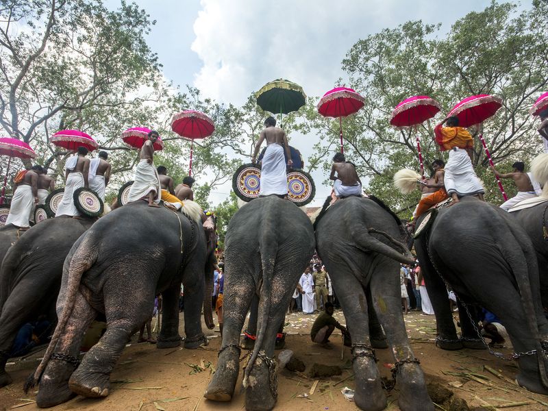 Chained Giant | Smithsonian Photo Contest | Smithsonian Magazine