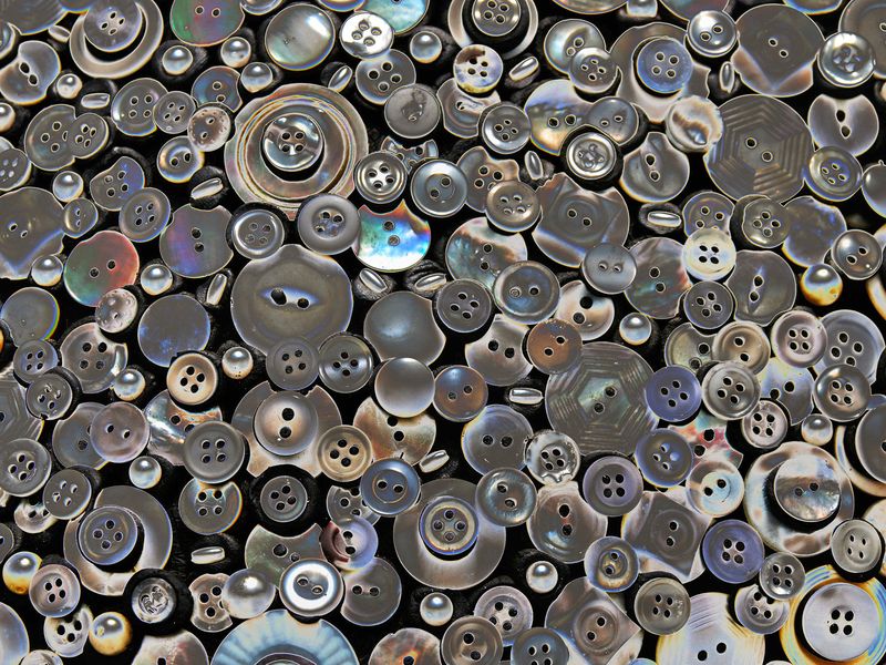 Random buttons | Smithsonian Photo Contest | Smithsonian Magazine