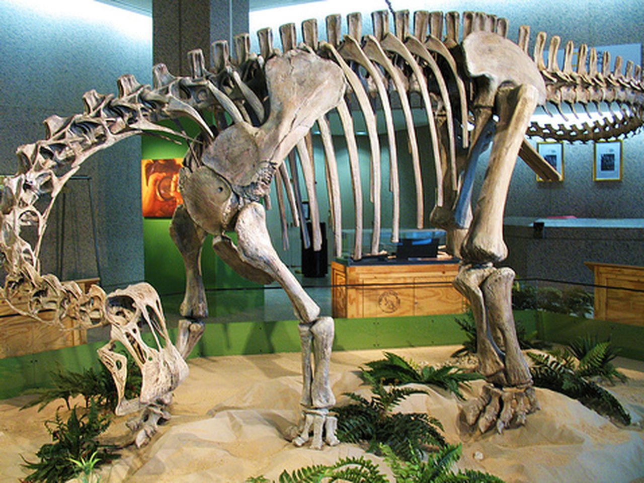 Nigersaurus Skeleton Family Fun Review: #DinosaursGiants Invade Gail