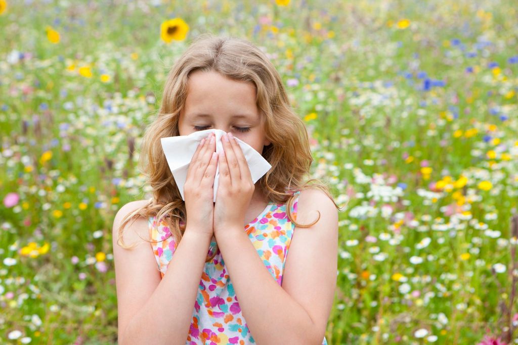 Got Allergies? Air Pollution Could Be to Blame