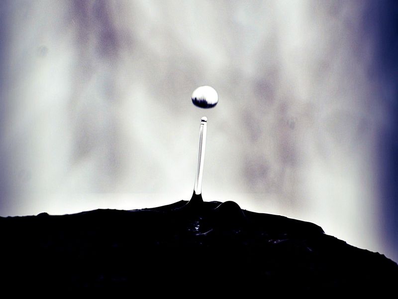 upside down rain drop | Smithsonian Photo Contest | Smithsonian Magazine