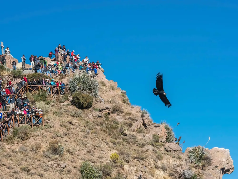 Sleep With the Condors at This Peruvian Hotel Hanging Off a Cliff