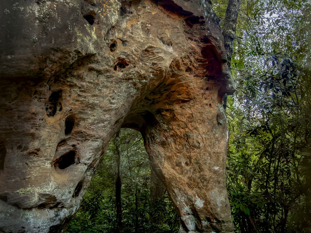 Horse Head Arch | Smithsonian Photo Contest | Smithsonian Magazine