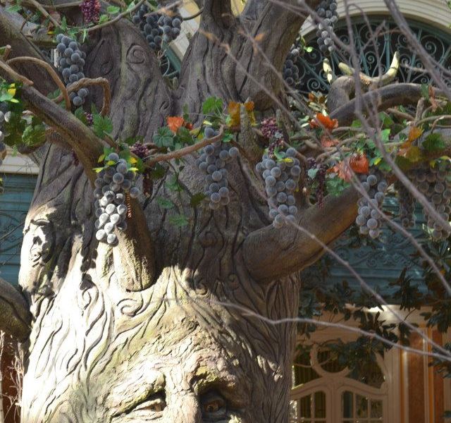 talking tree at the Bellagio | Smithsonian Photo Contest | Smithsonian ...