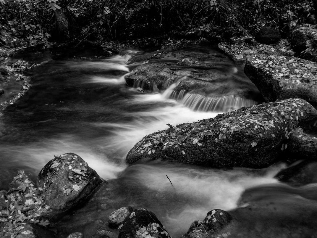 Let it Flow | Smithsonian Photo Contest | Smithsonian Magazine