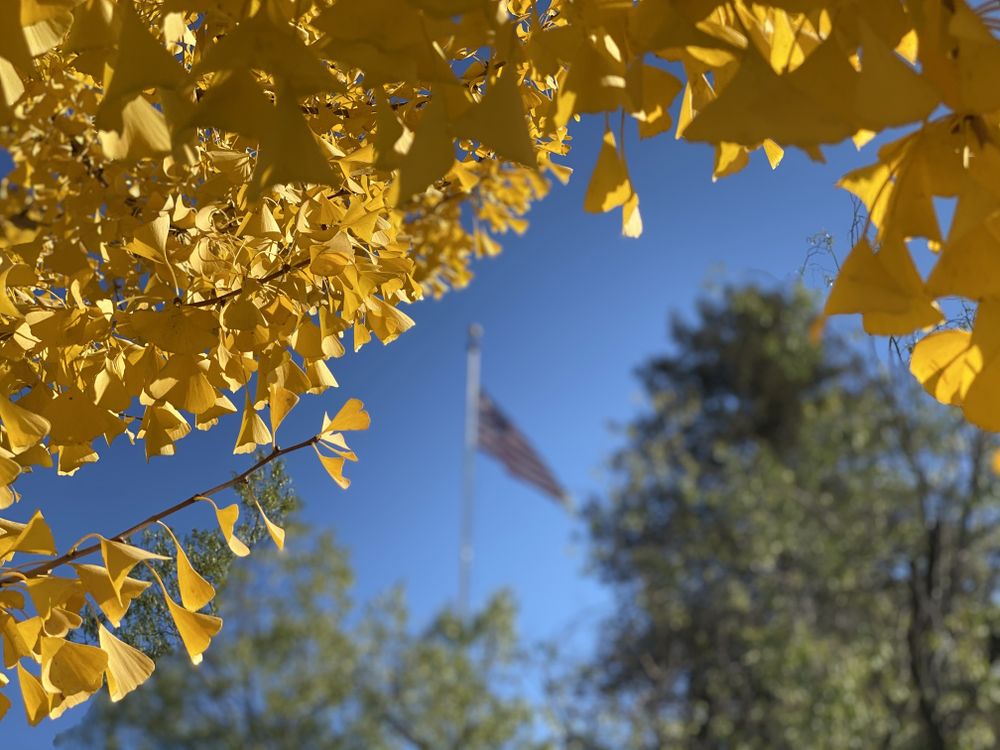 Fall Colors | Smithsonian Photo Contest | Smithsonian Magazine