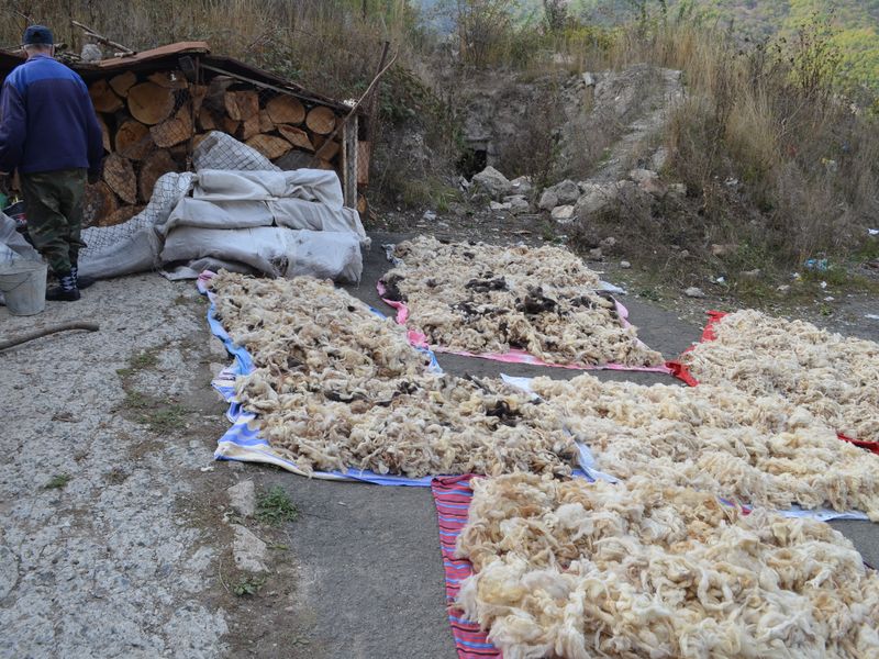 Armenian Sheep Wool for sale | Smithsonian Photo Contest | Smithsonian ...