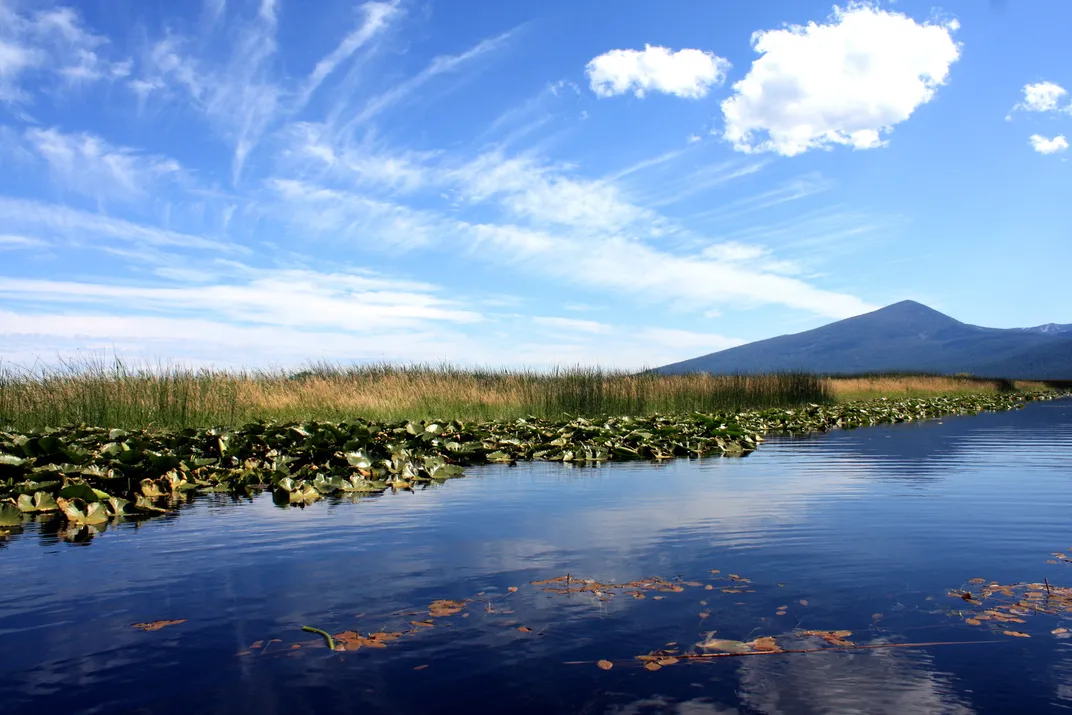 Wocus Lake | Smithsonian Photo Contest | Smithsonian Magazine