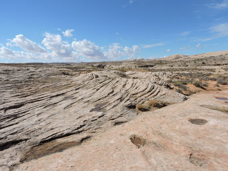 Rippled Landscape | Smithsonian Photo Contest | Smithsonian Magazine