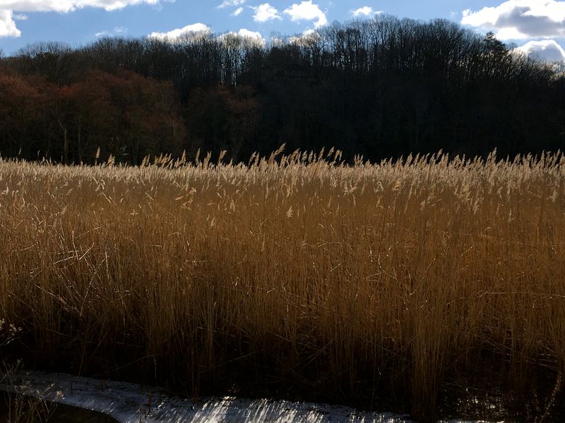 Four contrasting parts of nature. | Smithsonian Photo Contest ...