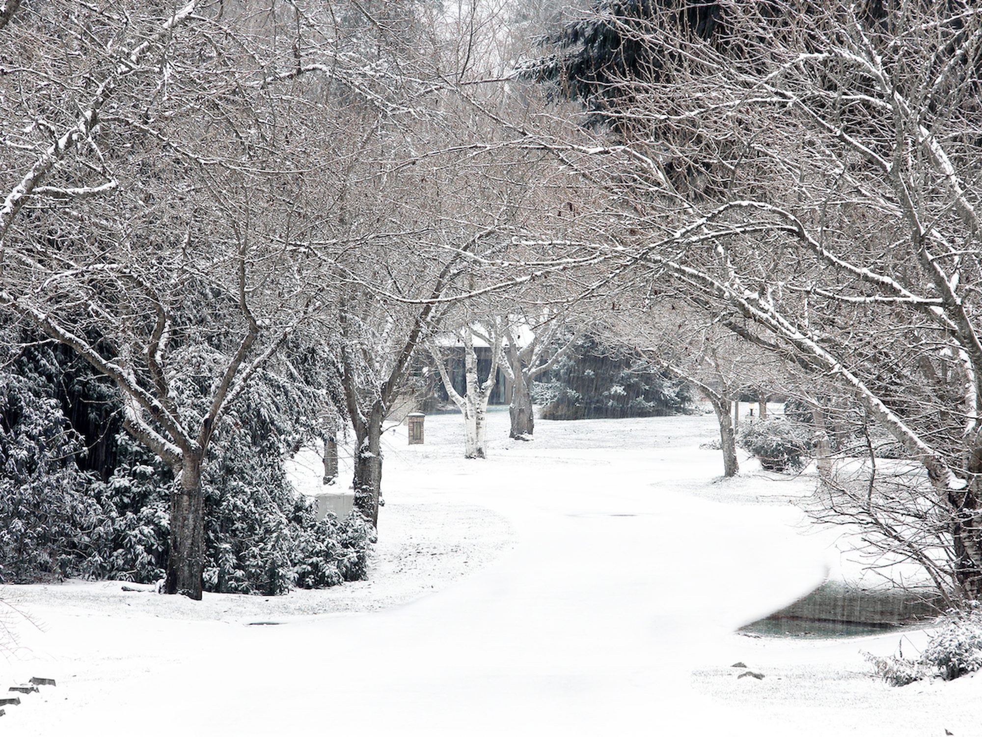 What is the Winter Solstice? | Smithsonian Voices | Smithsonian Science ...