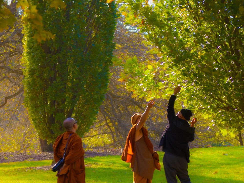 Monks by the Tree | Smithsonian Photo Contest | Smithsonian Magazine