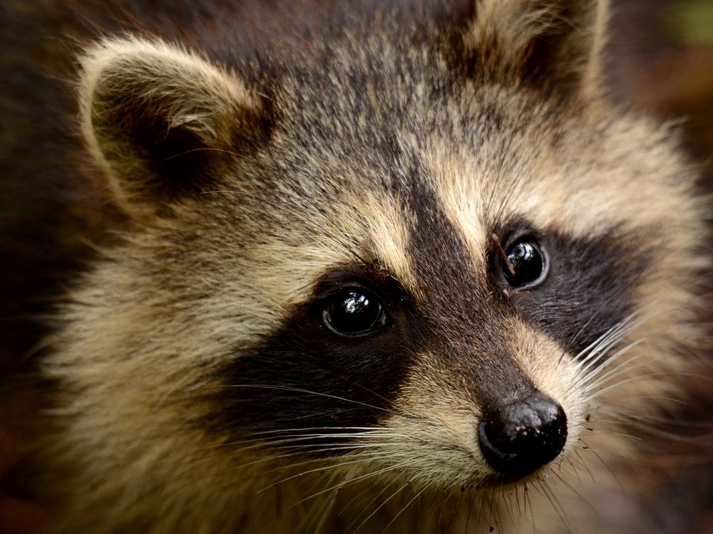A Candid Face | Smithsonian Photo Contest | Smithsonian Magazine