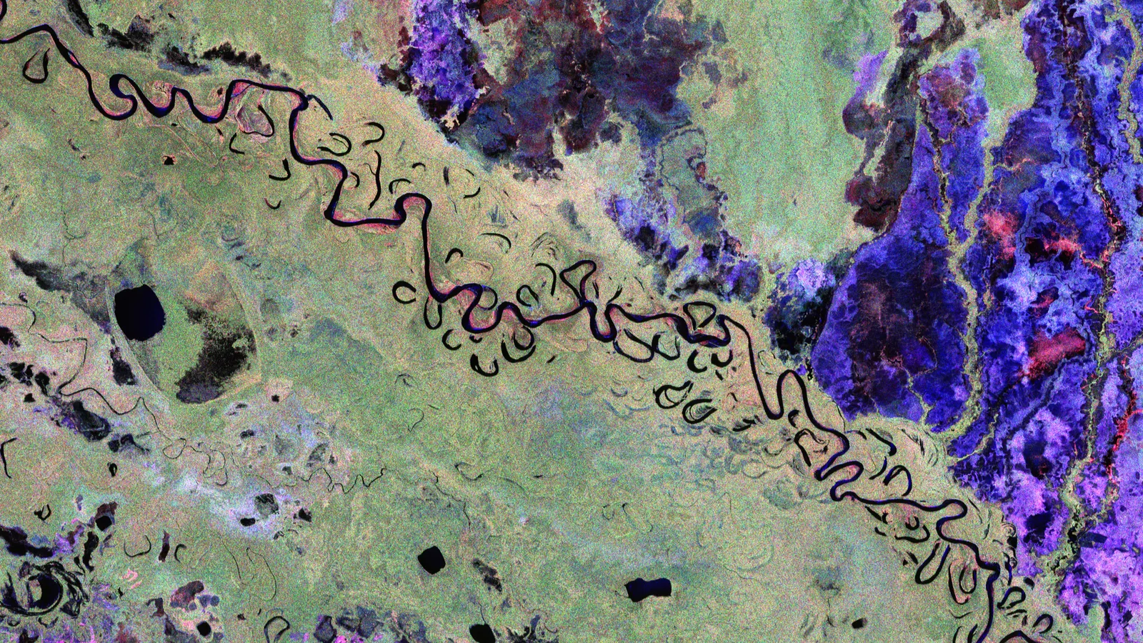 These Colorful Satellite Views Reveal Our Forests in Unprecedented ...