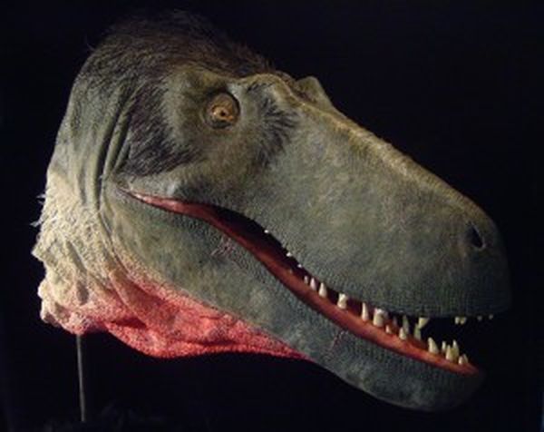 Bringing a Dryptosaurus Back to Life