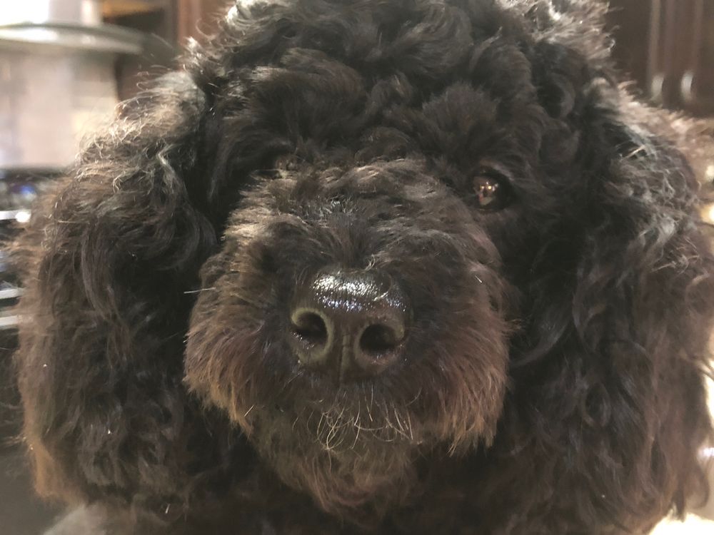 Queen Z posing for her album cover. | Smithsonian Photo Contest ...