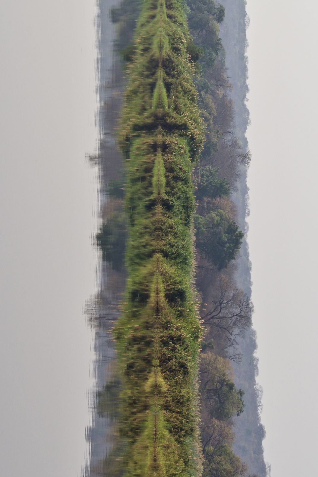 Totem Reflection? | Smithsonian Photo Contest | Smithsonian Magazine