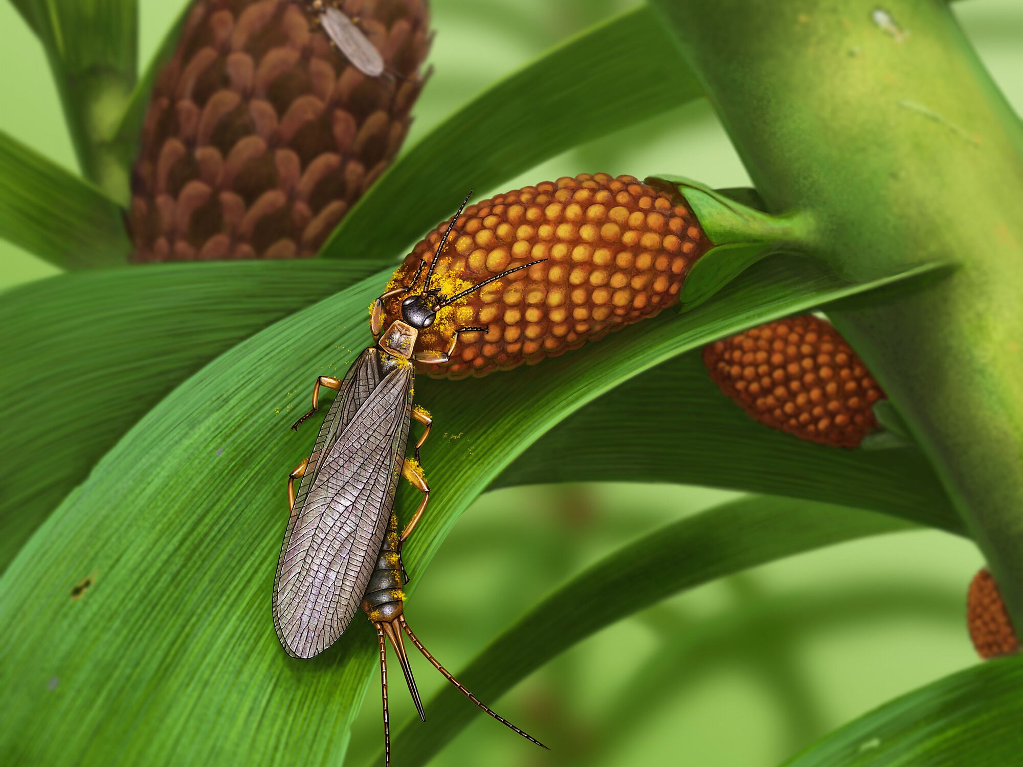 Scientists Discover Oldest Known Fossils of Pollen-Carrying Insects