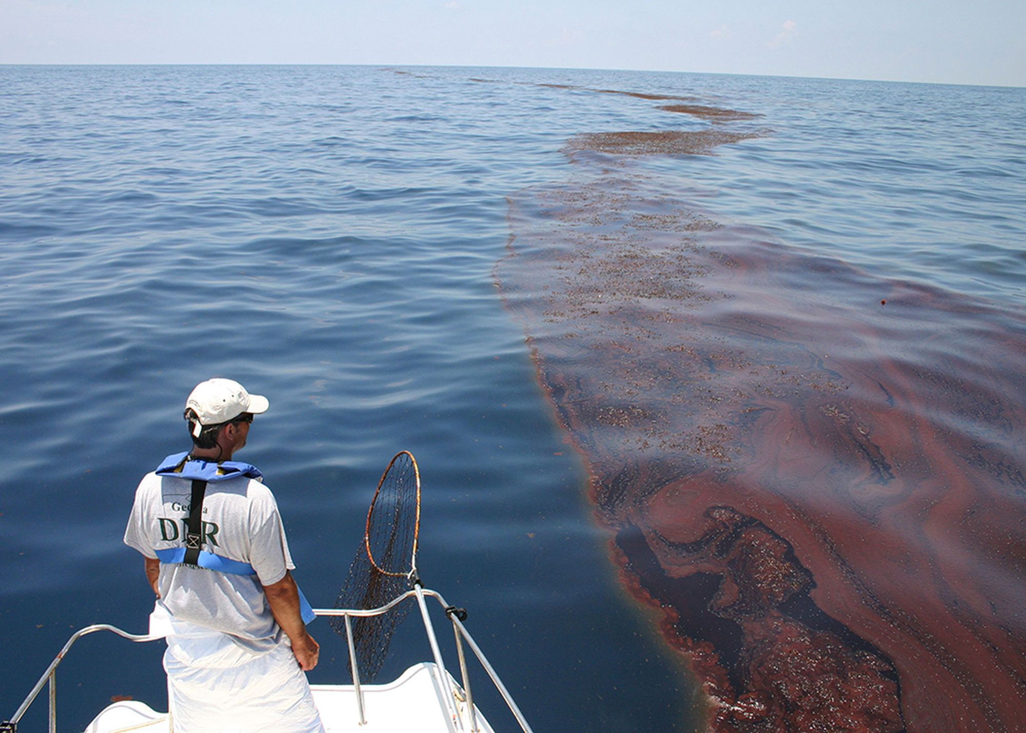 Breaking Down the Myths and Misconceptions About the Gulf Oil Spill