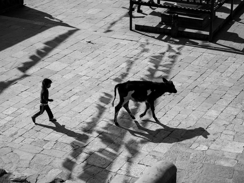 Walking shadows | Smithsonian Photo Contest | Smithsonian Magazine