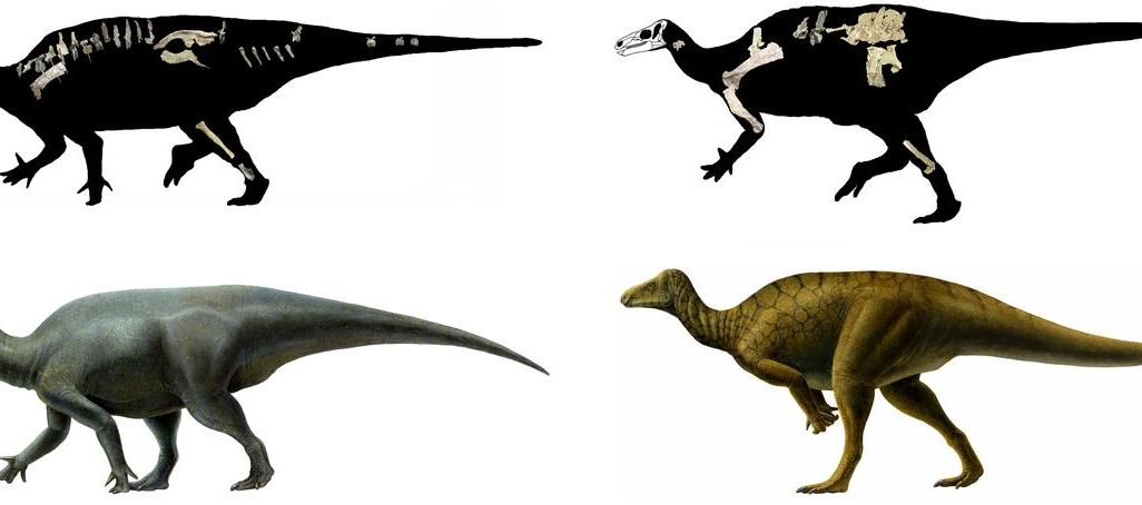 Dinosaur Utah