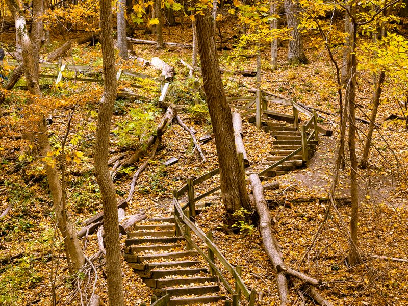 Staircase at Pikes Peak Iowa State Park | Smithsonian Photo Contest ...