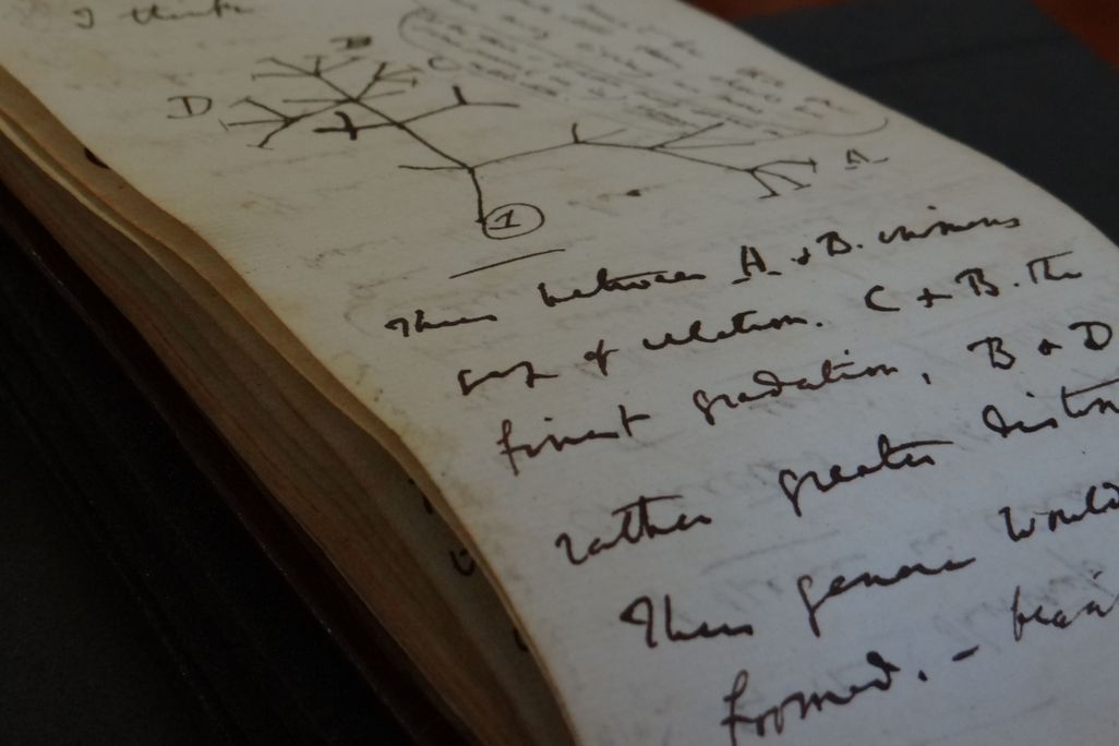 charles darwin diary