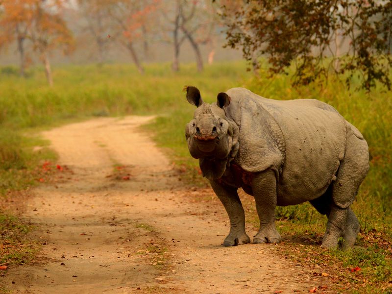 Magnificent Giant | Smithsonian Photo Contest | Smithsonian Magazine