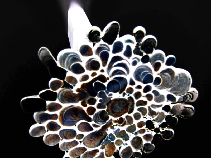 "Form Over Function" Sculpture/Photograph | Smithsonian Photo Contest ...