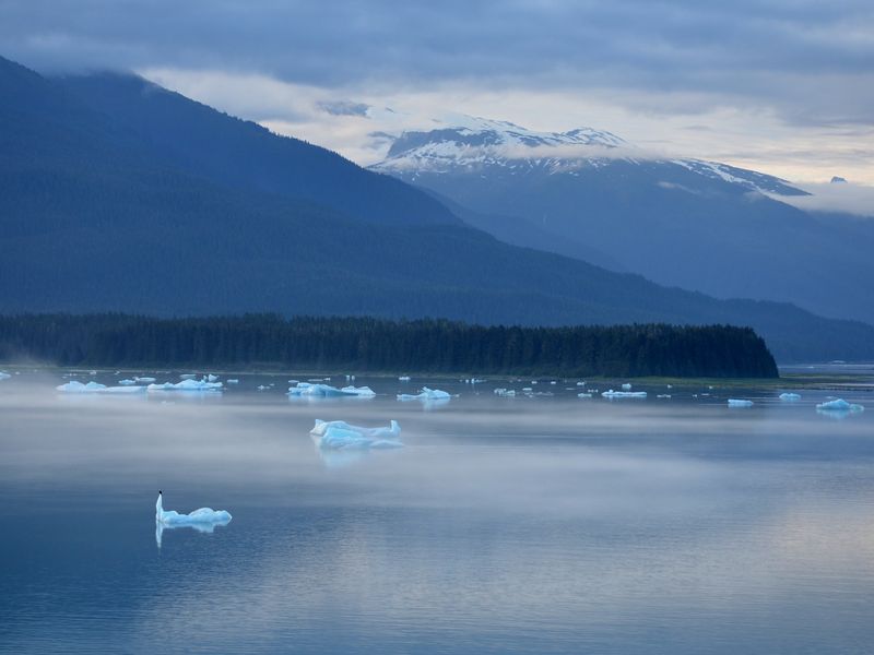 Alaskan Icebergs | Smithsonian Photo Contest | Smithsonian Magazine