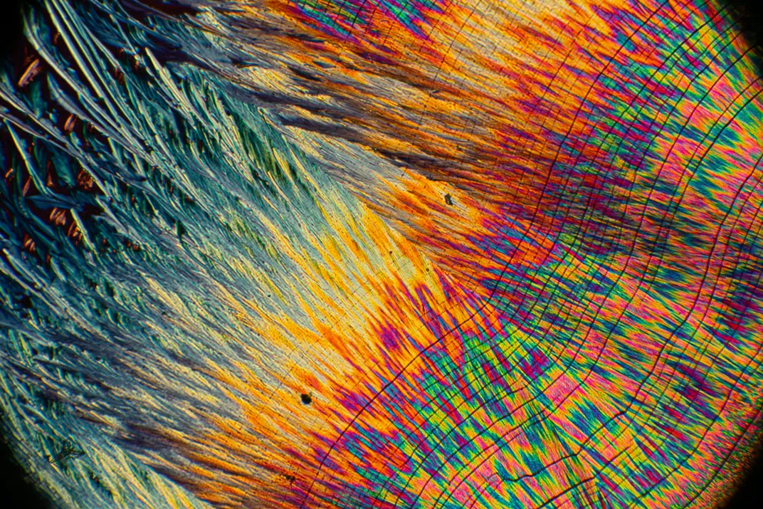 Unfinished Pattern of Colors | Smithsonian Photo Contest | Smithsonian ...