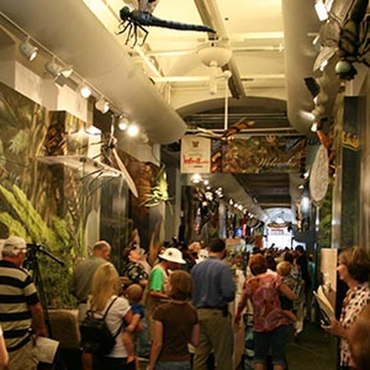 Audubon Insectarium Truck