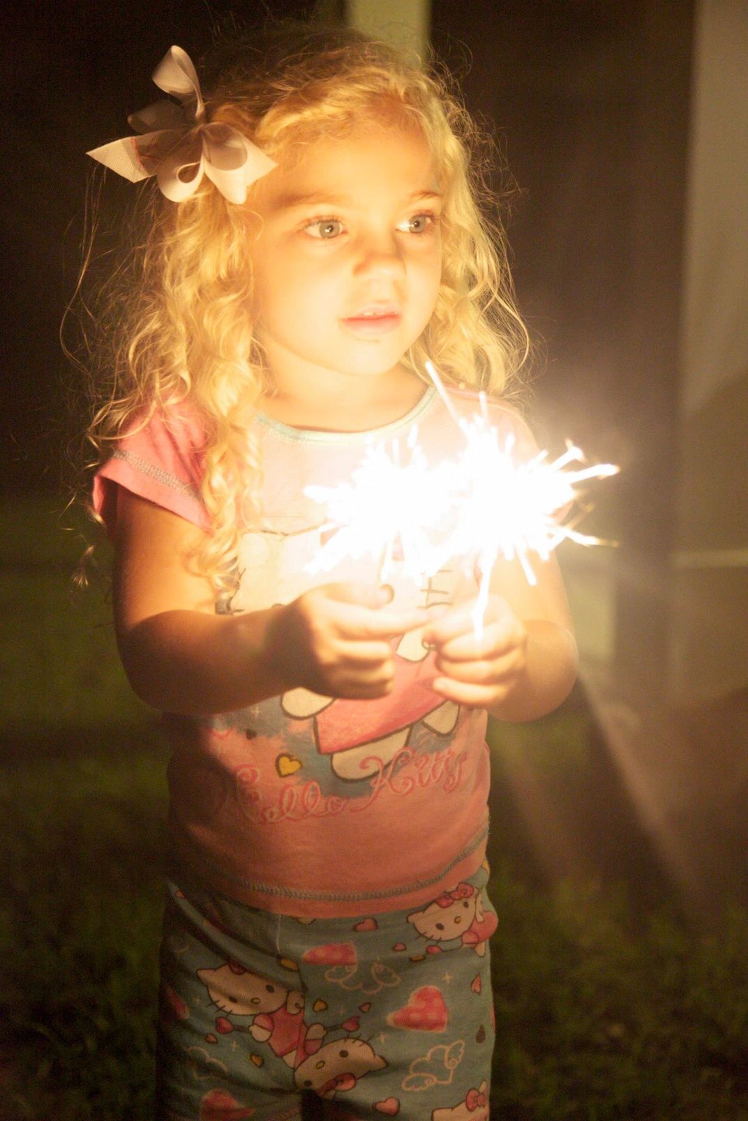The awe of a four year old on the Fourth of July. | Smithsonian Photo ...