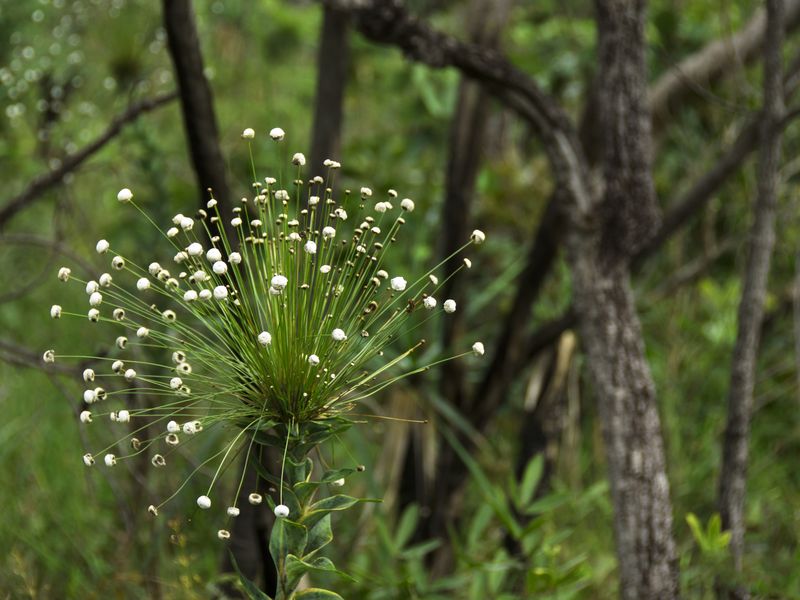 Chuveirinho | Smithsonian Photo Contest | Smithsonian Magazine