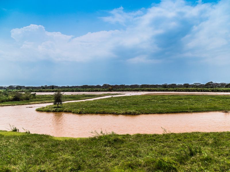 Le "z" de la Rusizi | Smithsonian Photo Contest | Smithsonian Magazine
