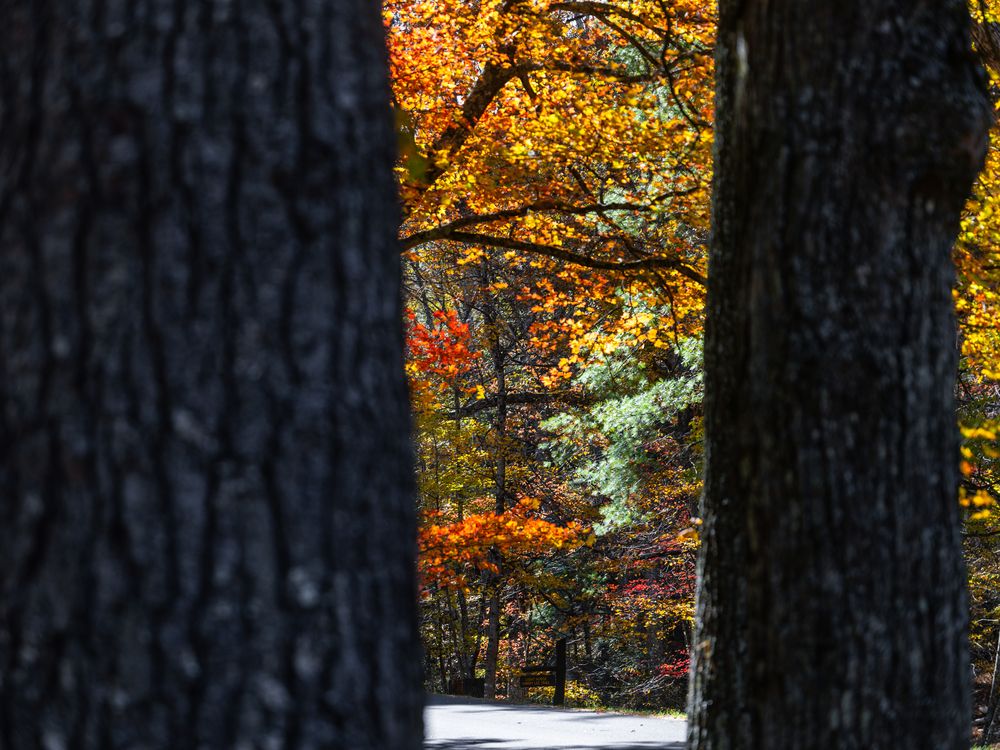 Fall Within A Frame | Smithsonian Photo Contest | Smithsonian Magazine